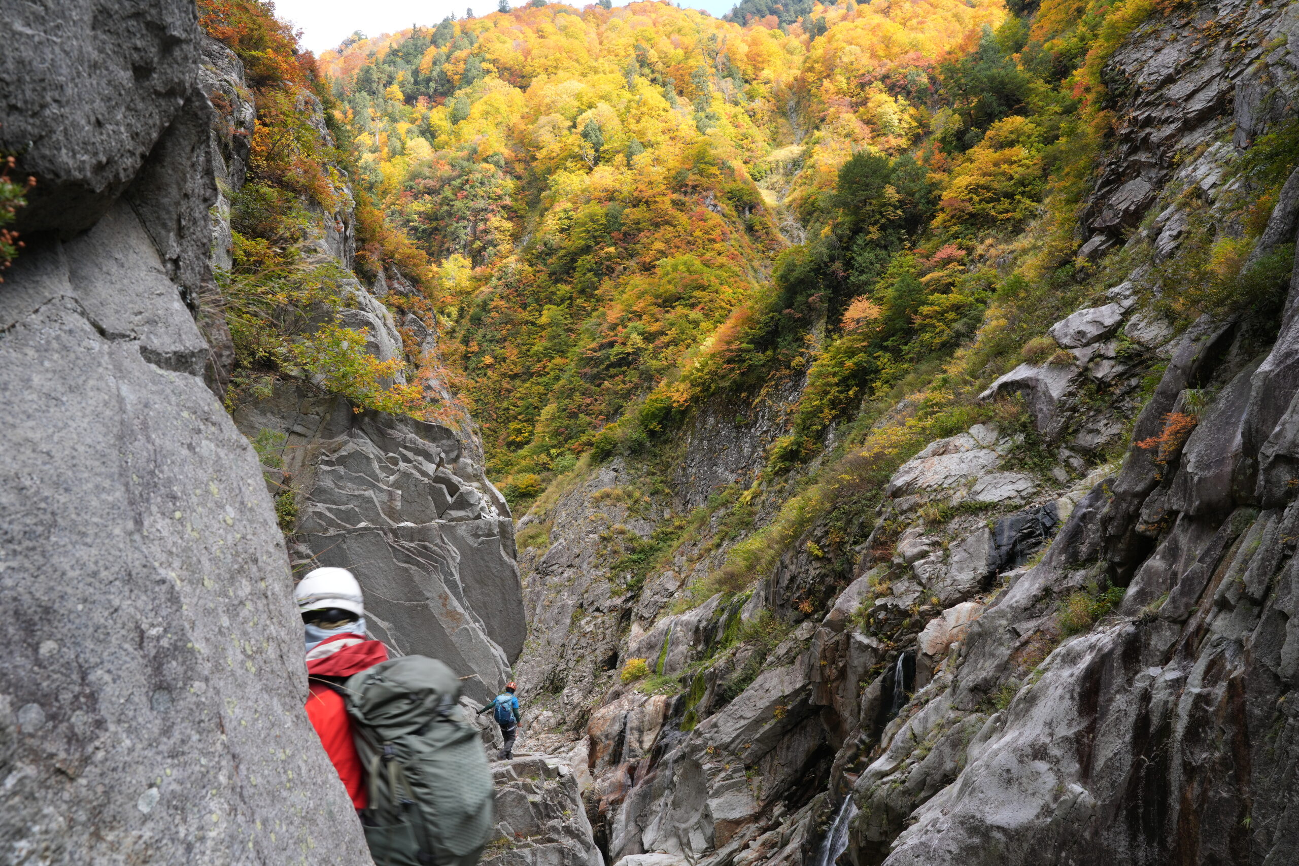 DSC03568 | ゆうさんの山 Ⅲ