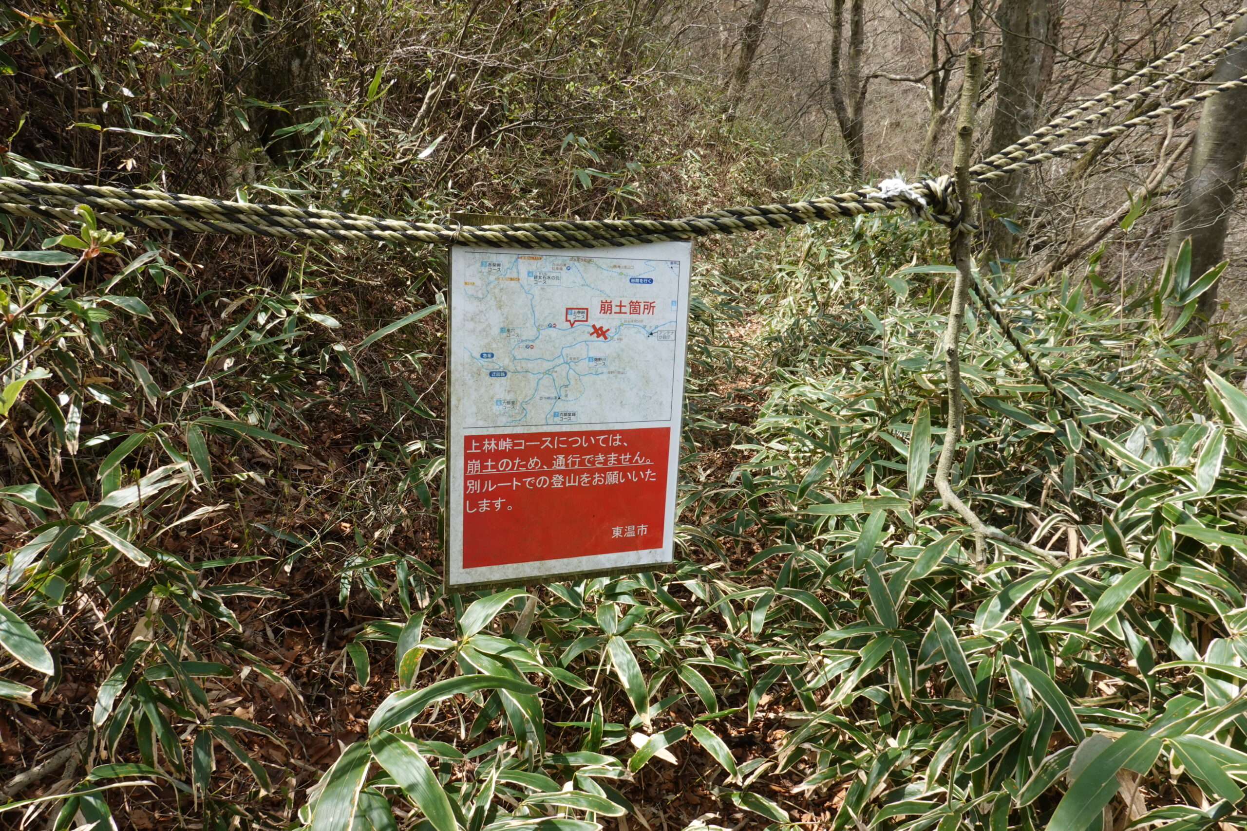 DSC00809 | ゆうさんの山 Ⅲ