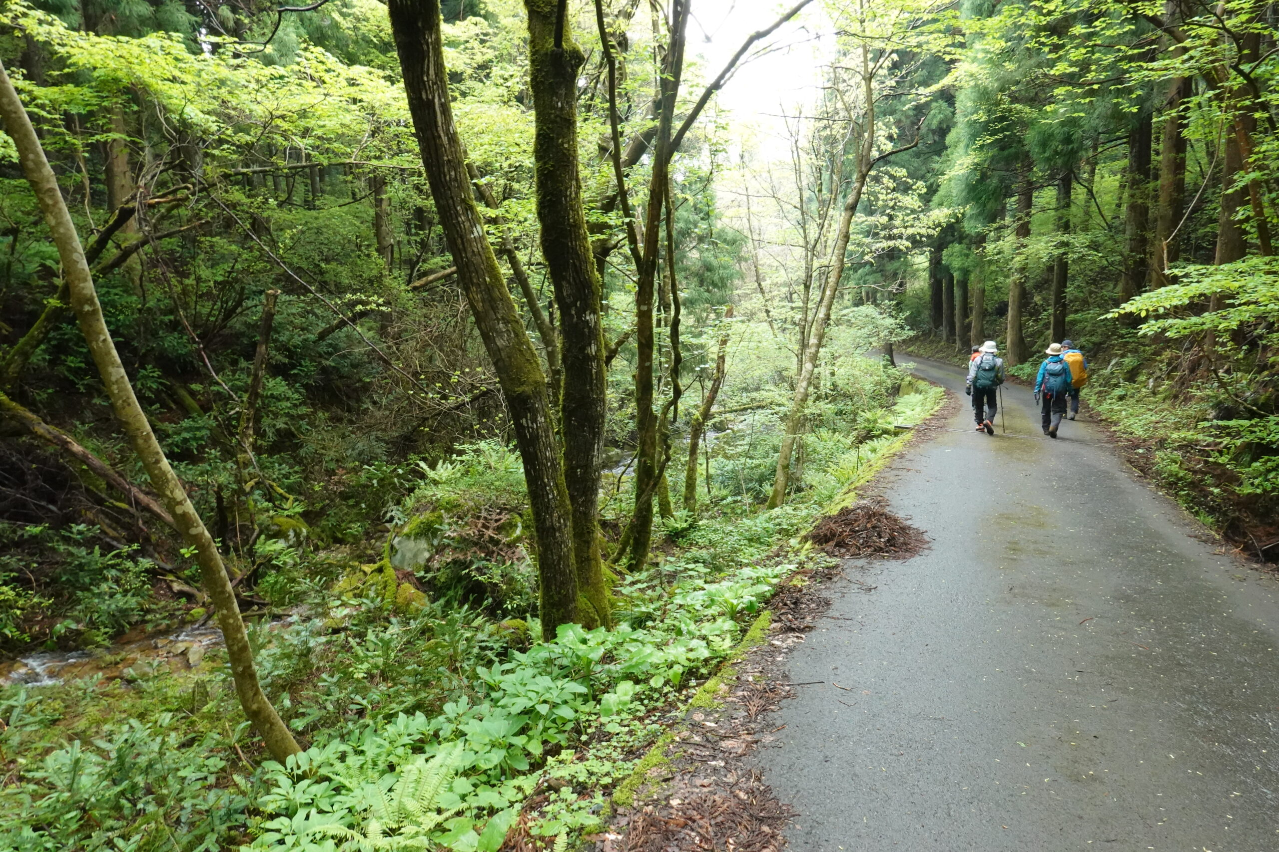DSC00982 | ゆうさんの山 Ⅲ
